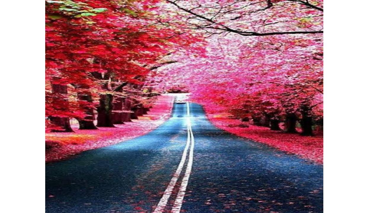 5 LIFE TRANSFORMING QUOTES – Prismatic Consulting